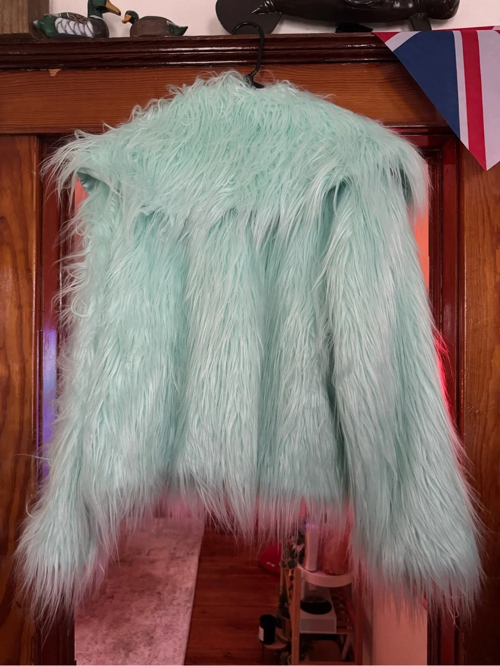 Taylor Swift | Jackets & Coats | Taylor Swift Faux Fur Mint Green ...